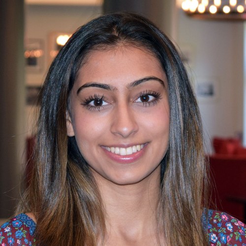 Hemani Patel | Honors College